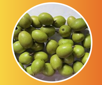 Organic Foods-Sajekgor.com